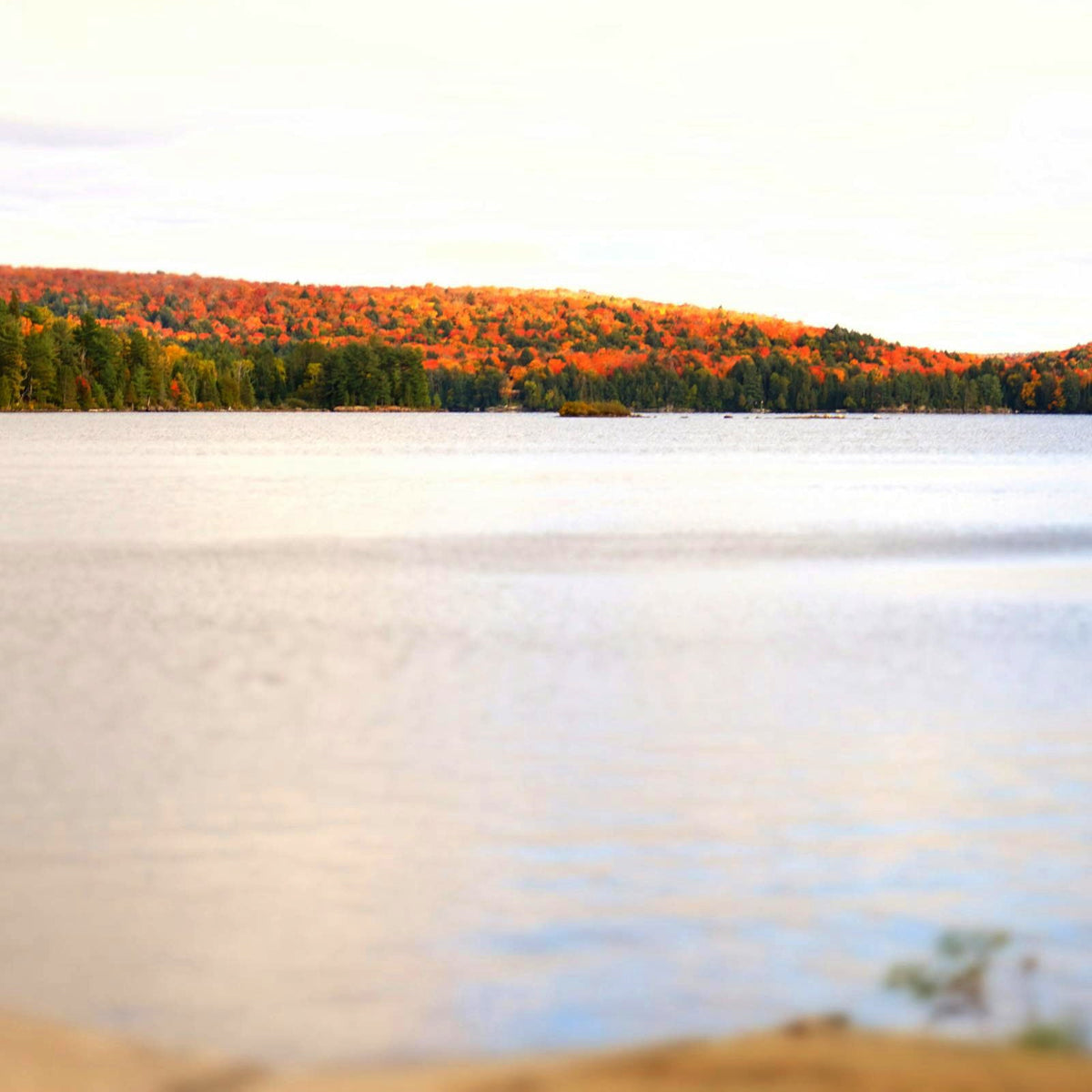 Ontario Home Efficiency Rebate (HER) Program | 1Click Heating & Cooling